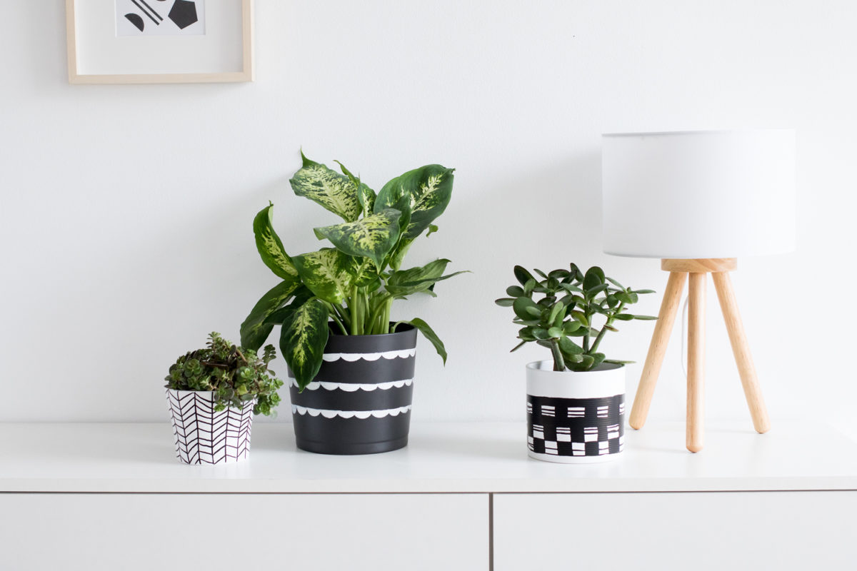 Easy Pattern Planters – Exclusive planters with only two markers